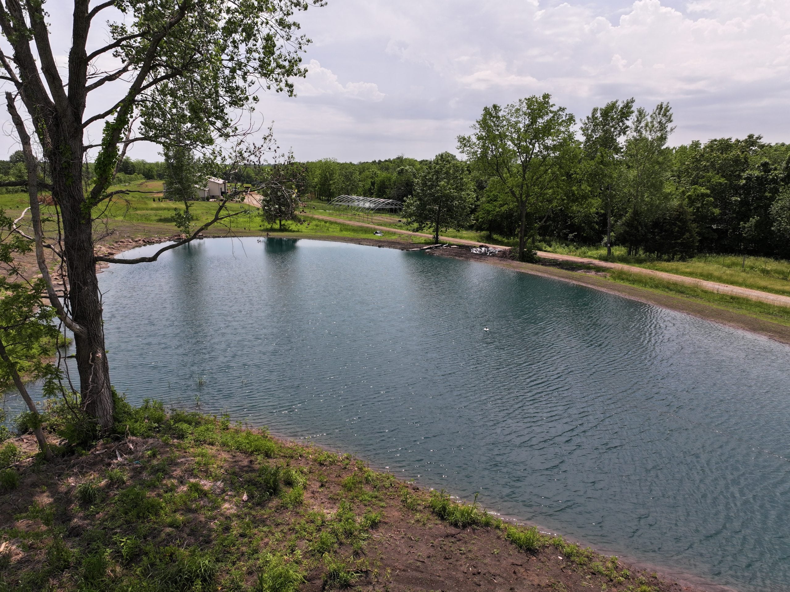 How Long Does it Take for a New Pond to Settle?🌊💦⏱️