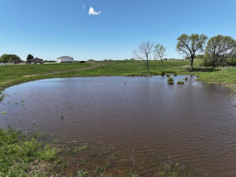 Retention Pond vs. Detention Pond Explained 💦